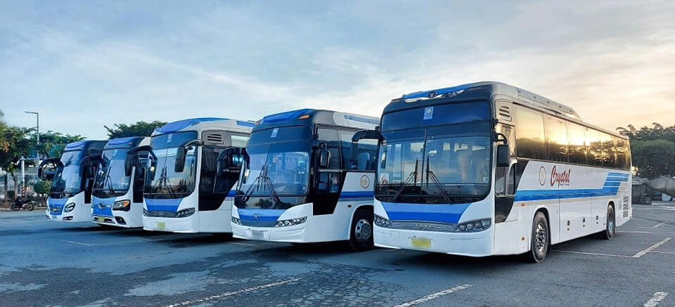 Magic-C Transport - Tourist, Coaster or Mini Bus for Rent