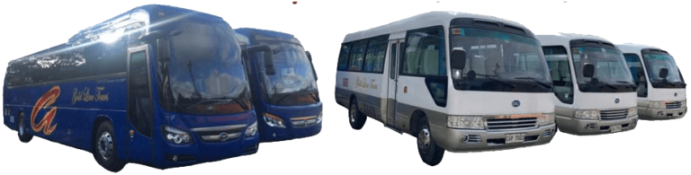 Gold Line Tours - Rent a Bus - Contacts - Booking